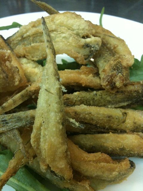 Fritto – Piccolo Canforo